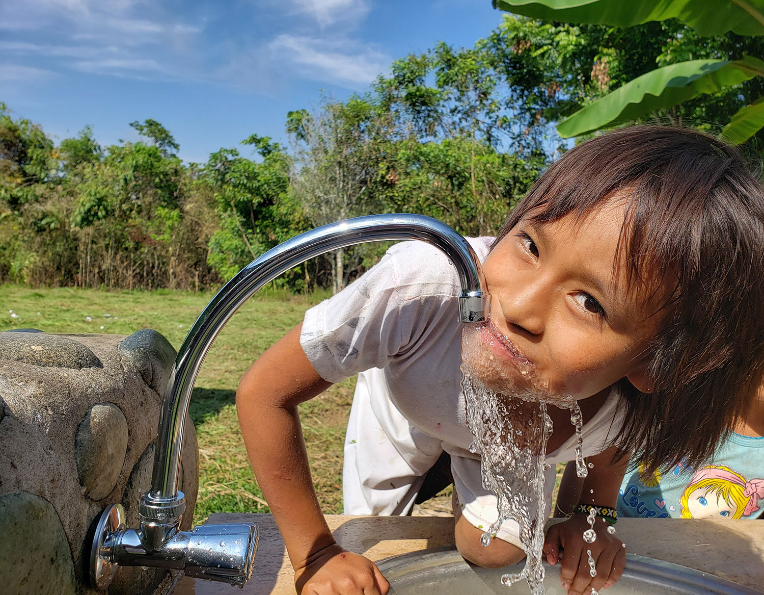 WORK – Rainforest Flow